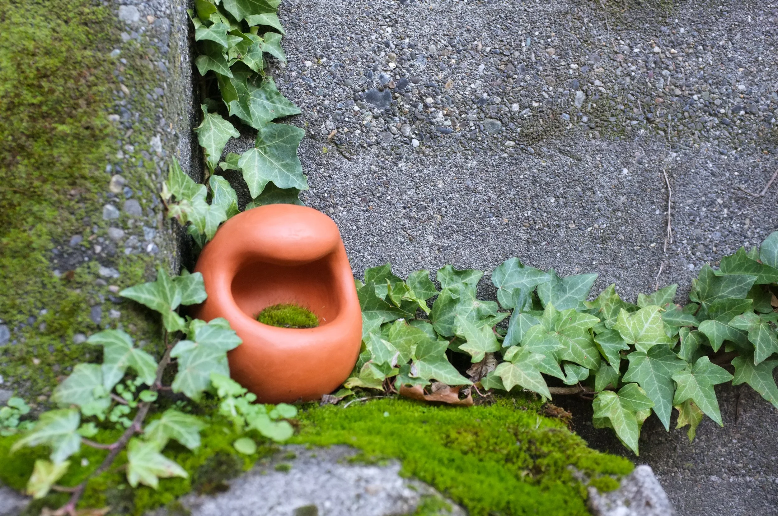 Seattle Clay Classes and Workshops — Jess Cheng Studio