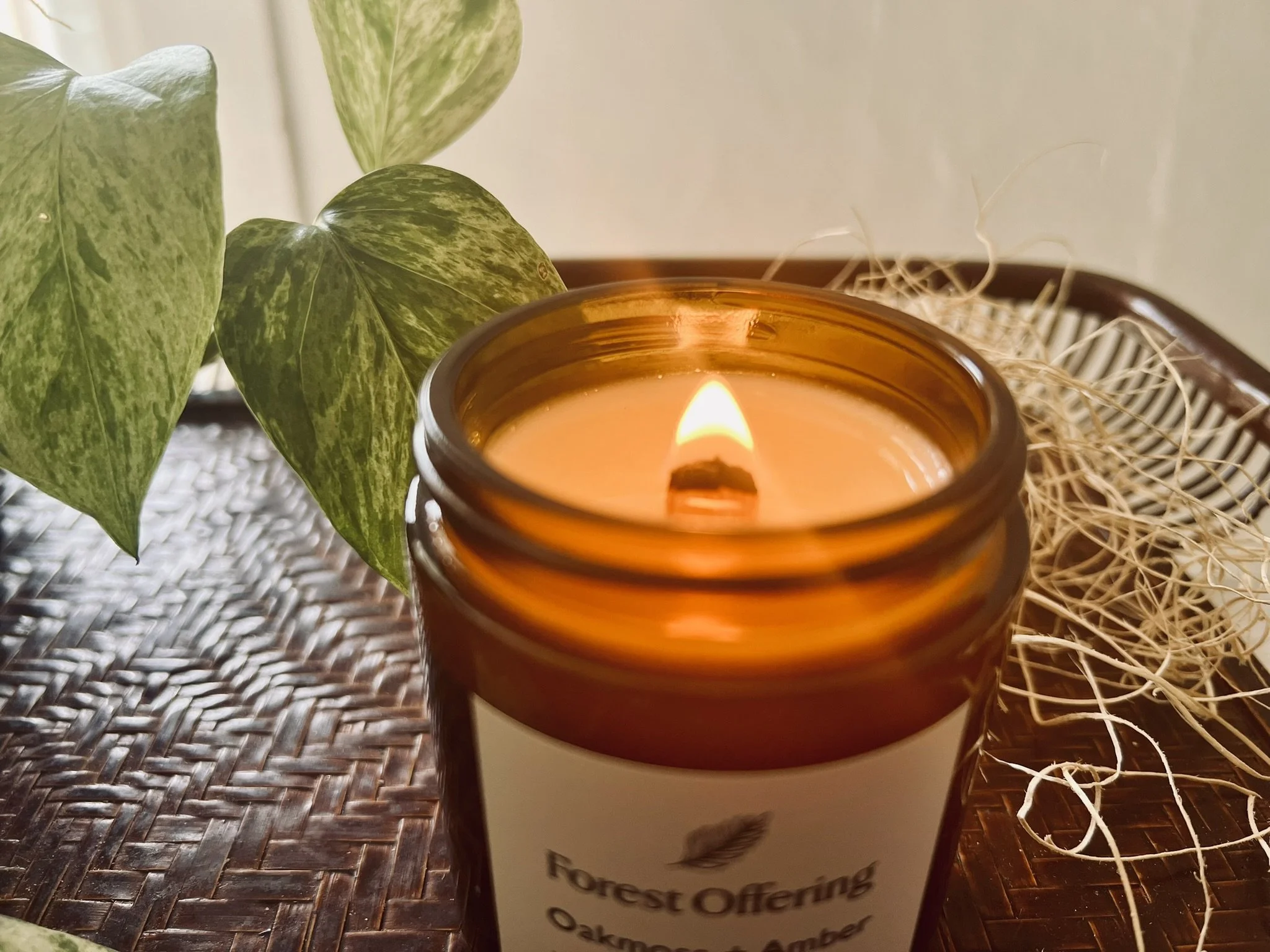 Eucalyptus + Sea Salt — Forest Offering