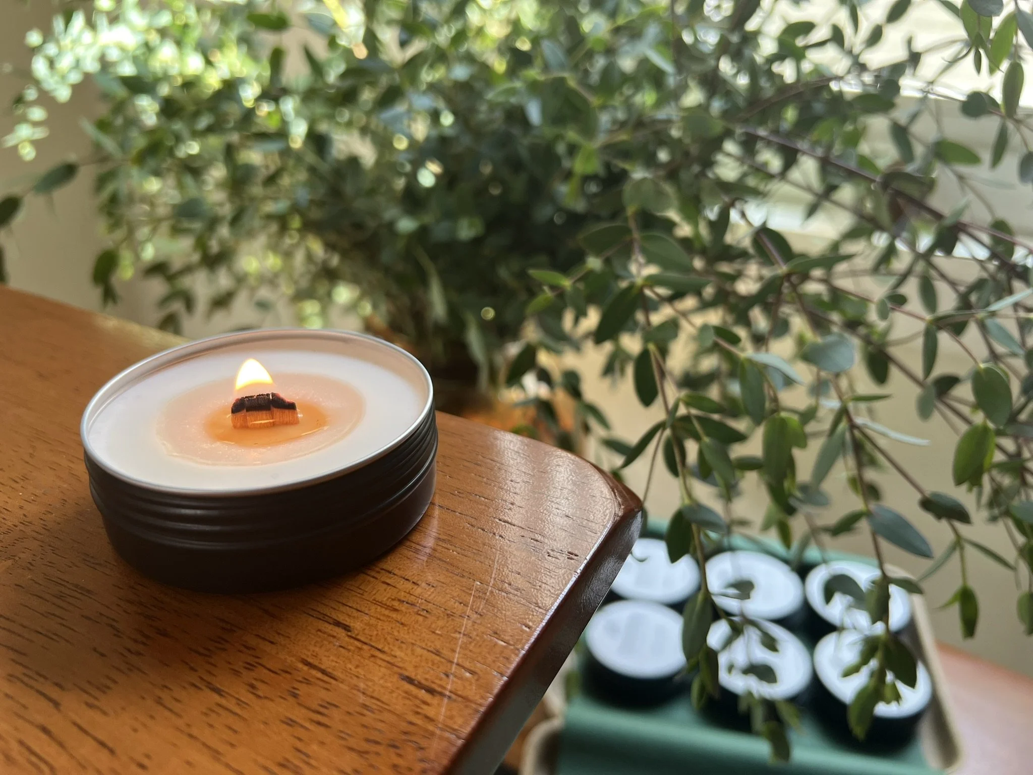 Wooden Wick Candles — Forest Offering