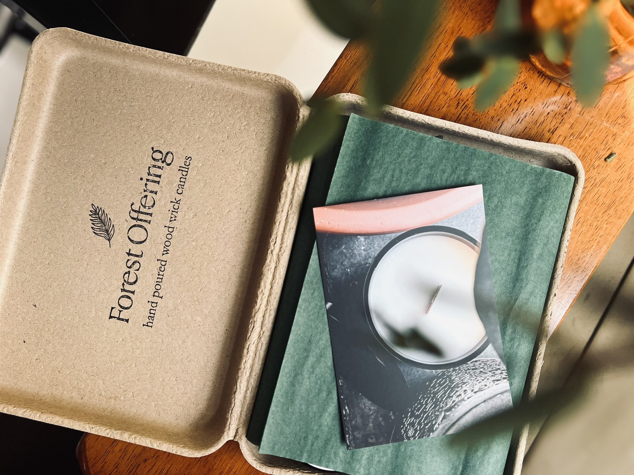 Wooden Wick Candles — Forest Offering