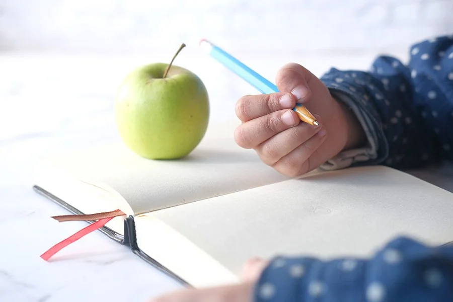 Executive Function Journal