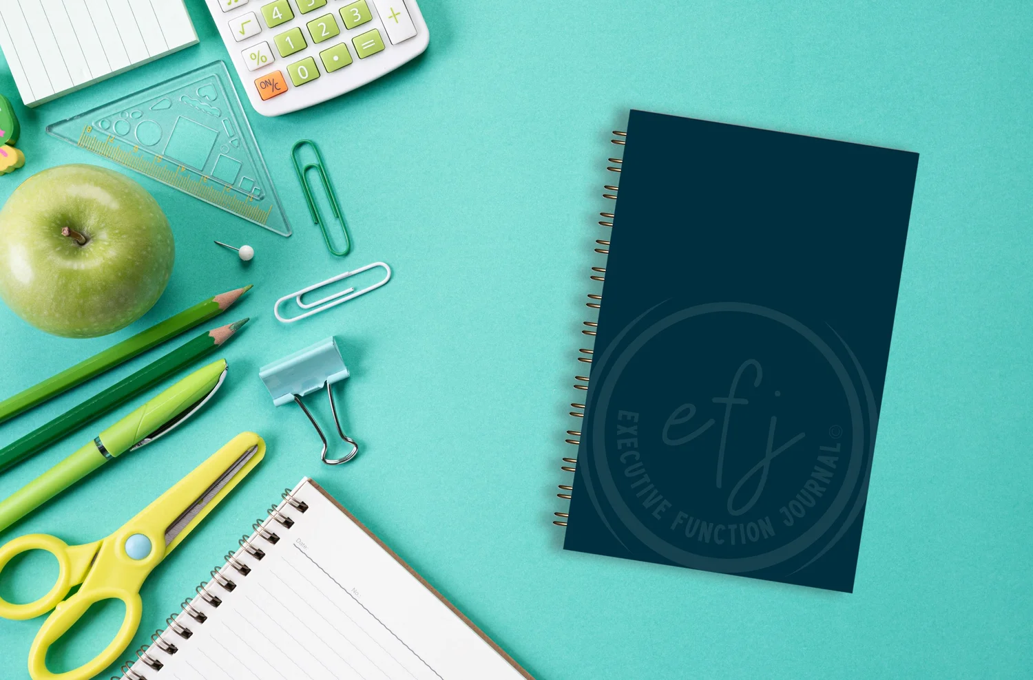 Single Executive Function Journal — Executive Function Journal