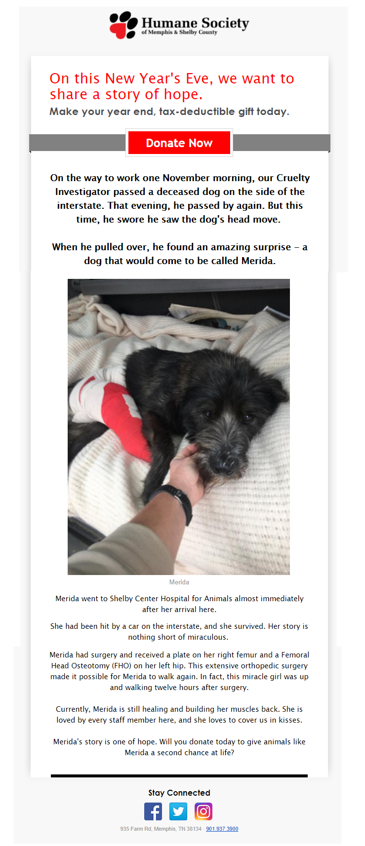 Guide to Selling Raffle Tickets in 2022 [10 Easy Tips] - Evey