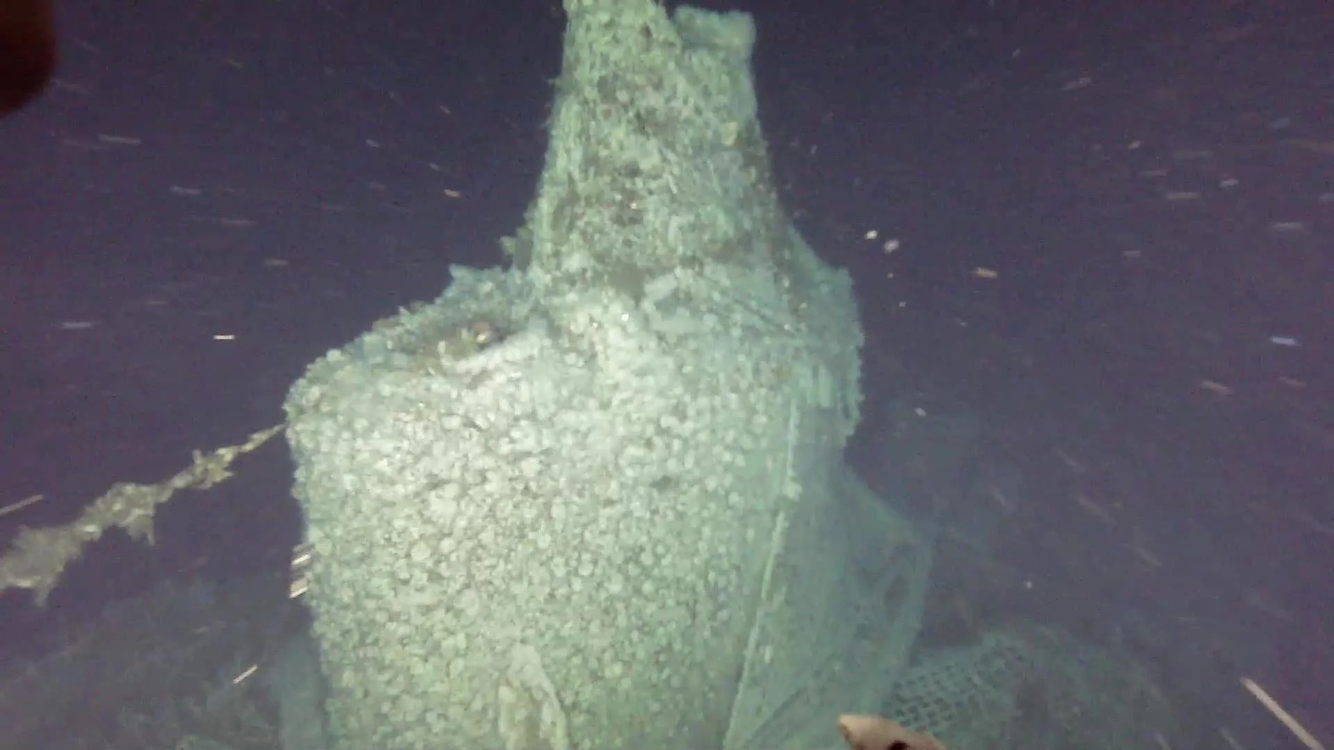 RV Explorer Uncovers Fabled WWI German U-Boat Wreckage off Virginia ...