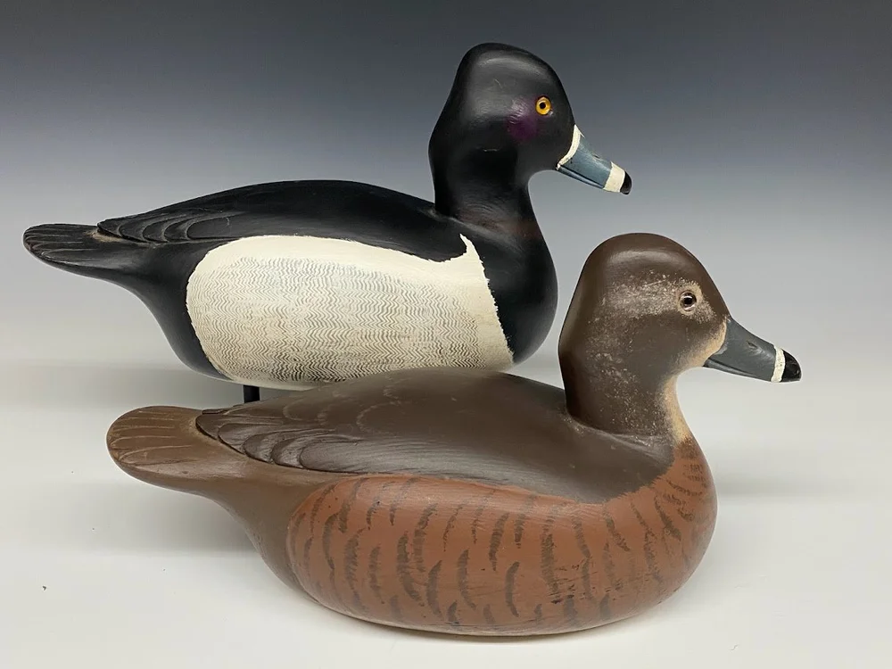 Ringneck Duck Decoys