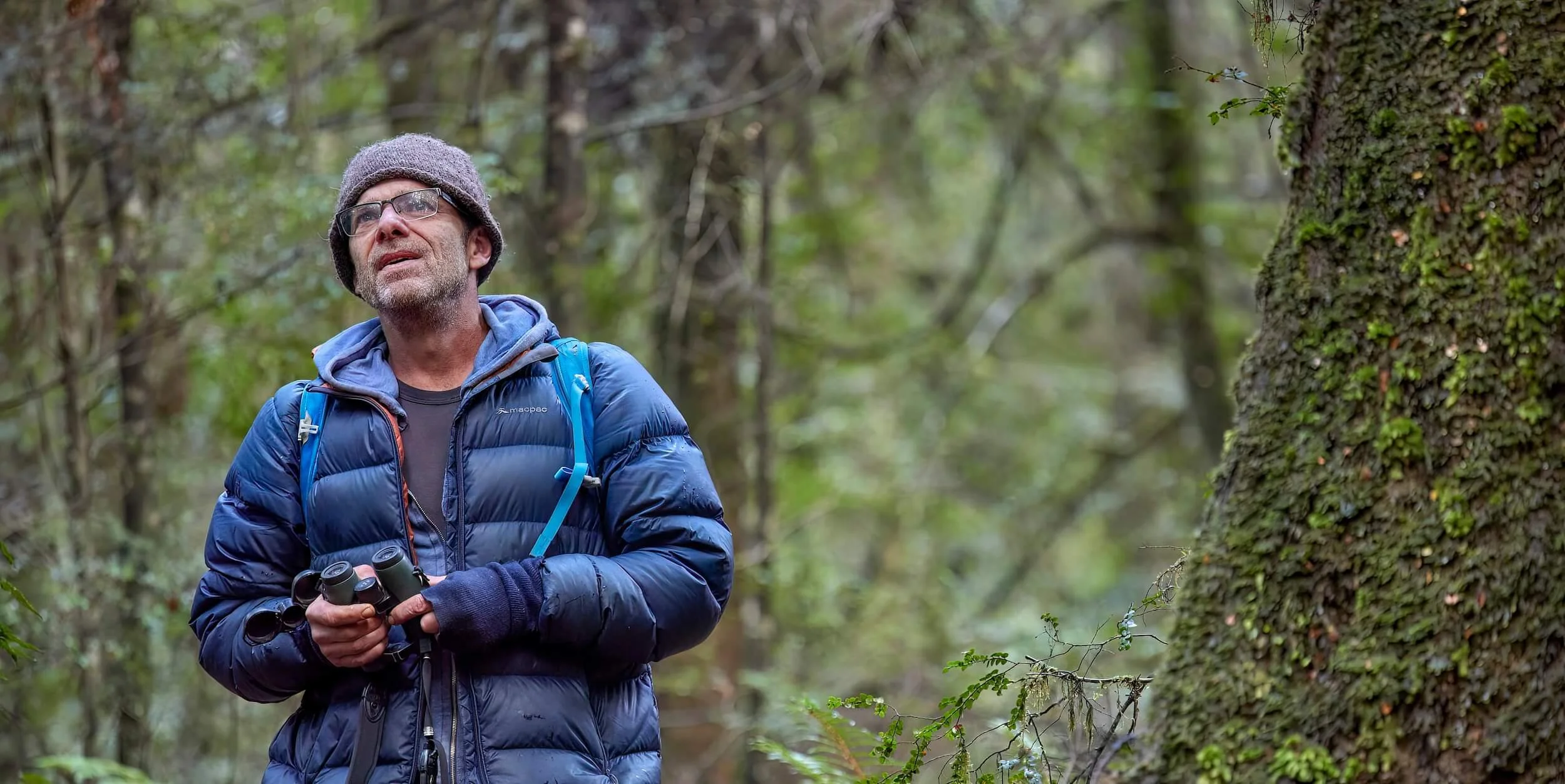 Swift Parrot Conservation — Landscape Recovery Foundation