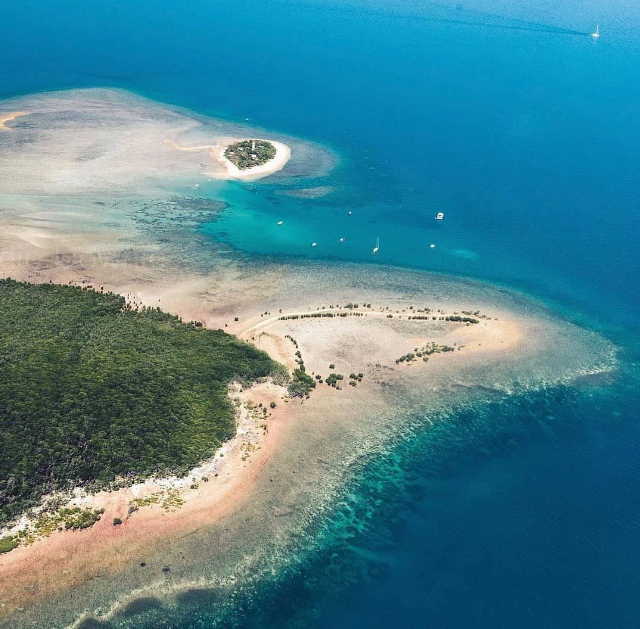 Low Isles Port Douglas-LIPS (Low Isles Preservation Society)