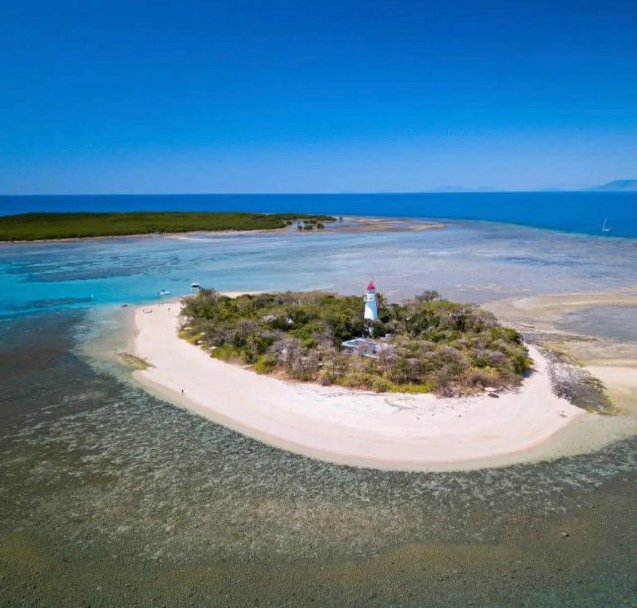 Low Isles Port Douglas-LIPS (Low Isles Preservation Society)