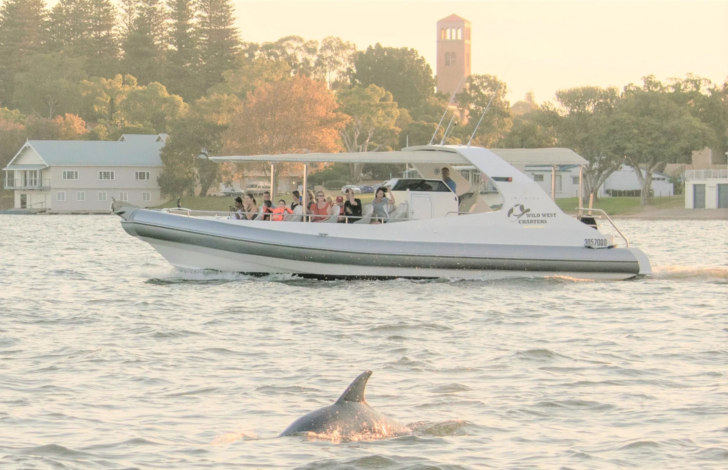 What's On — The Island at Elizabeth Quay
