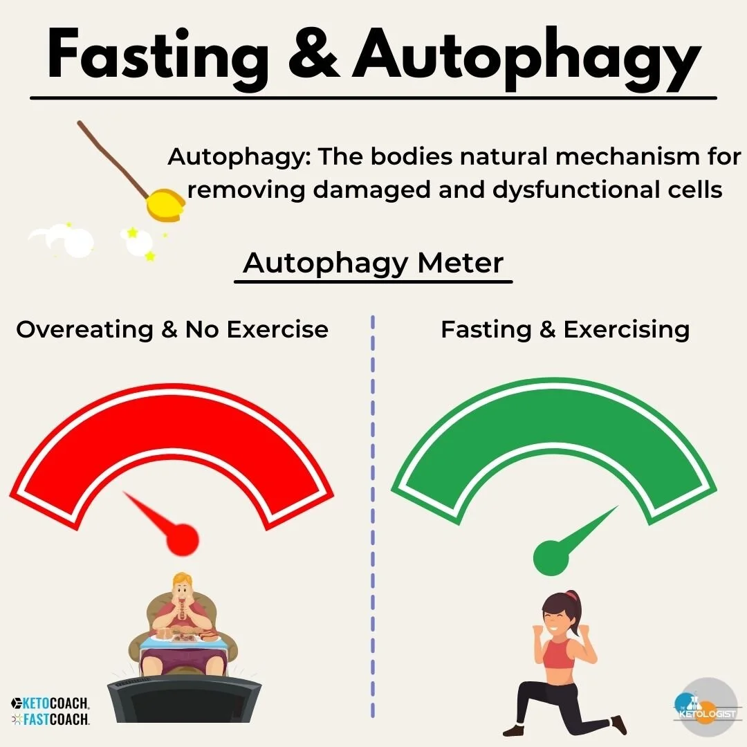 Eight Science-Backed Benefits of Intermittent Fasting — The Ketologist