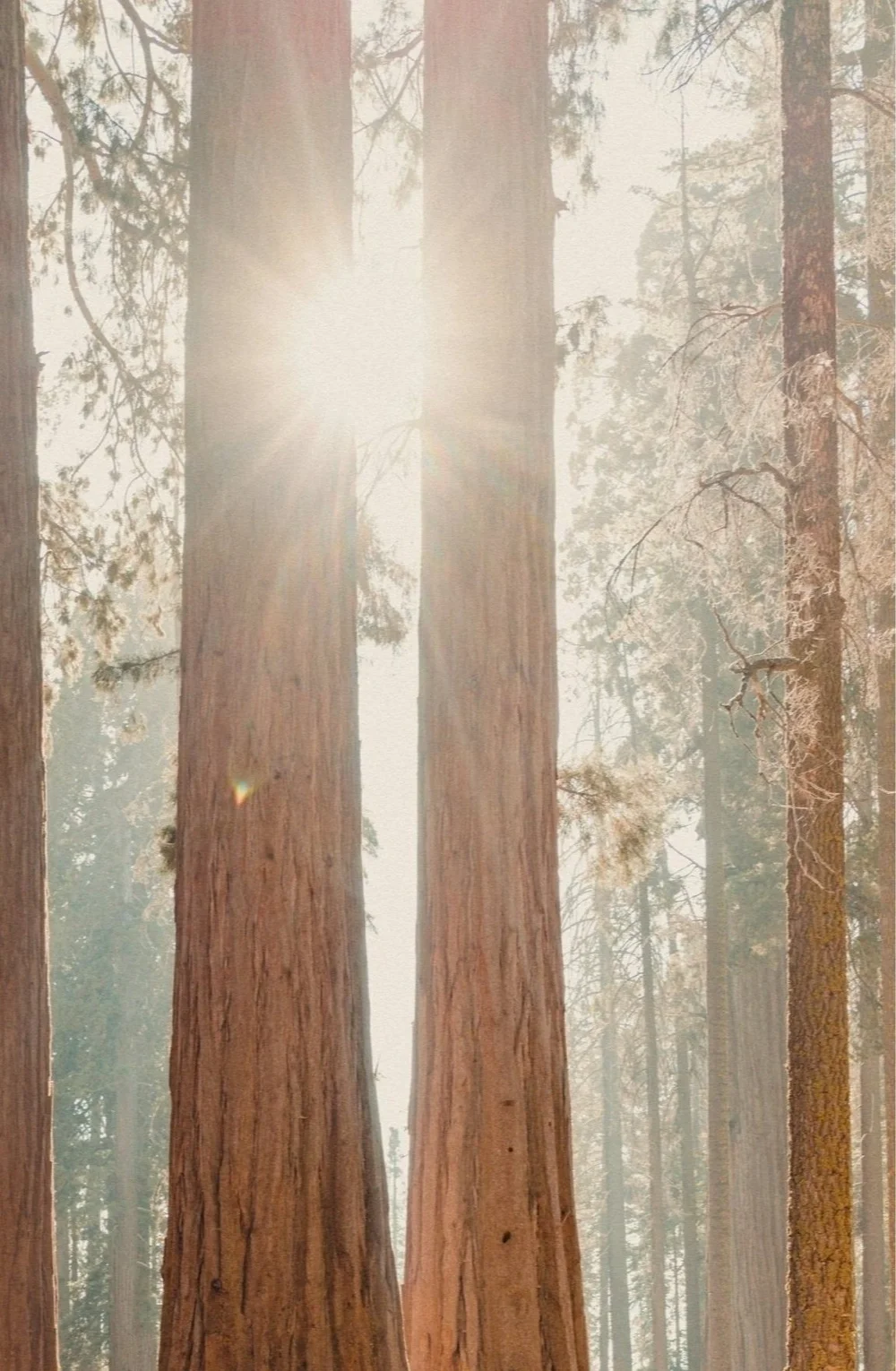 Wild Heart Men's Retreat: Inclusive, Nourishing & Powerful | Reboot ...