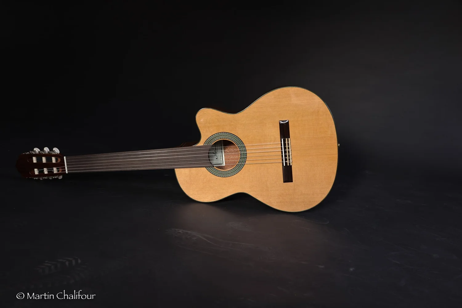 G&G Guitars shop for the US and Canada — Official resellers of Altamira ...