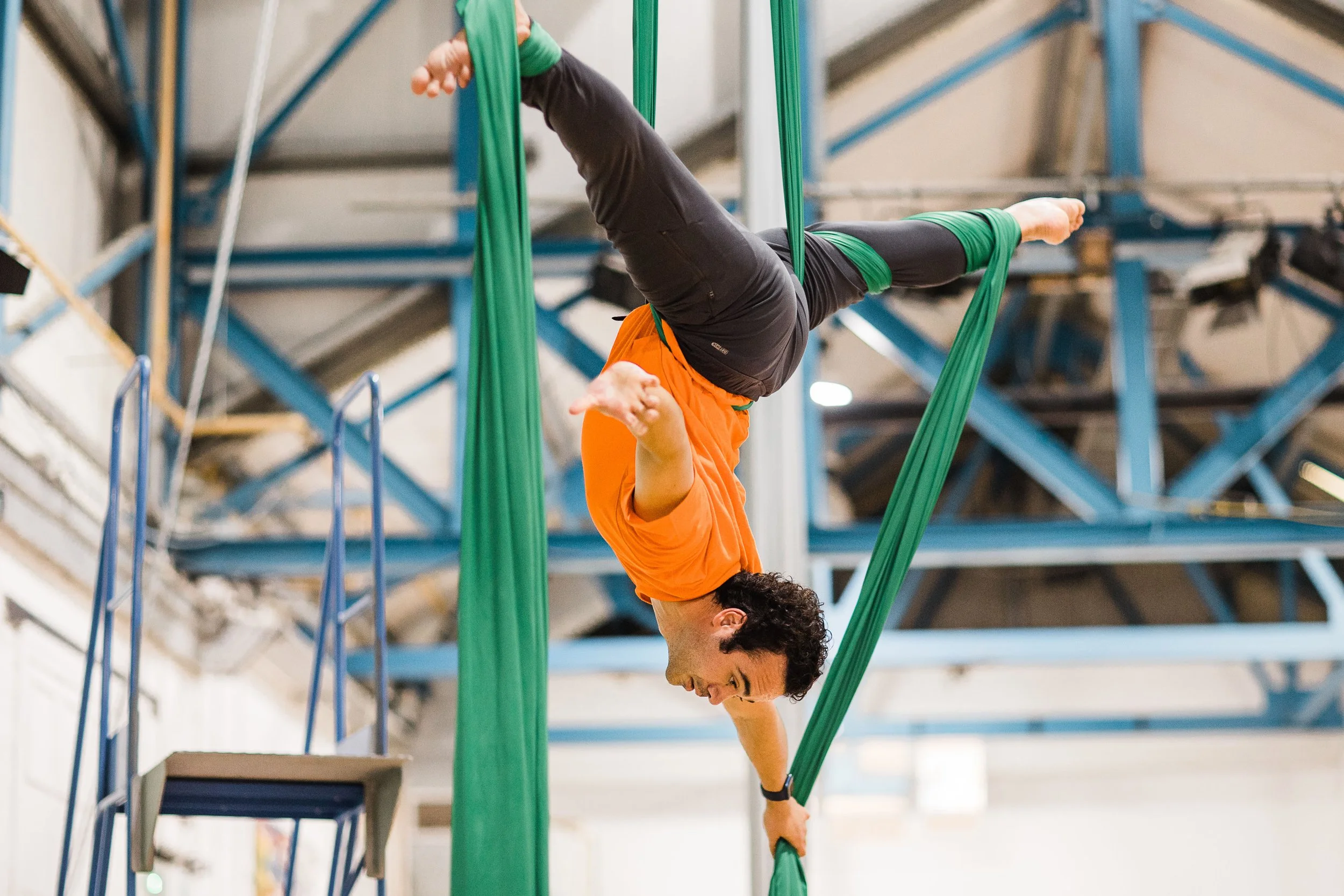 Adult Circus — Circusful