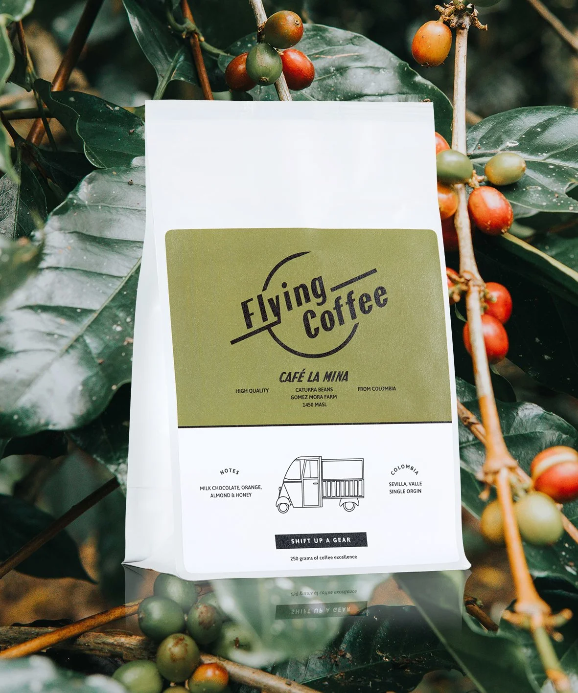 Café La Mina — Flying Coffee