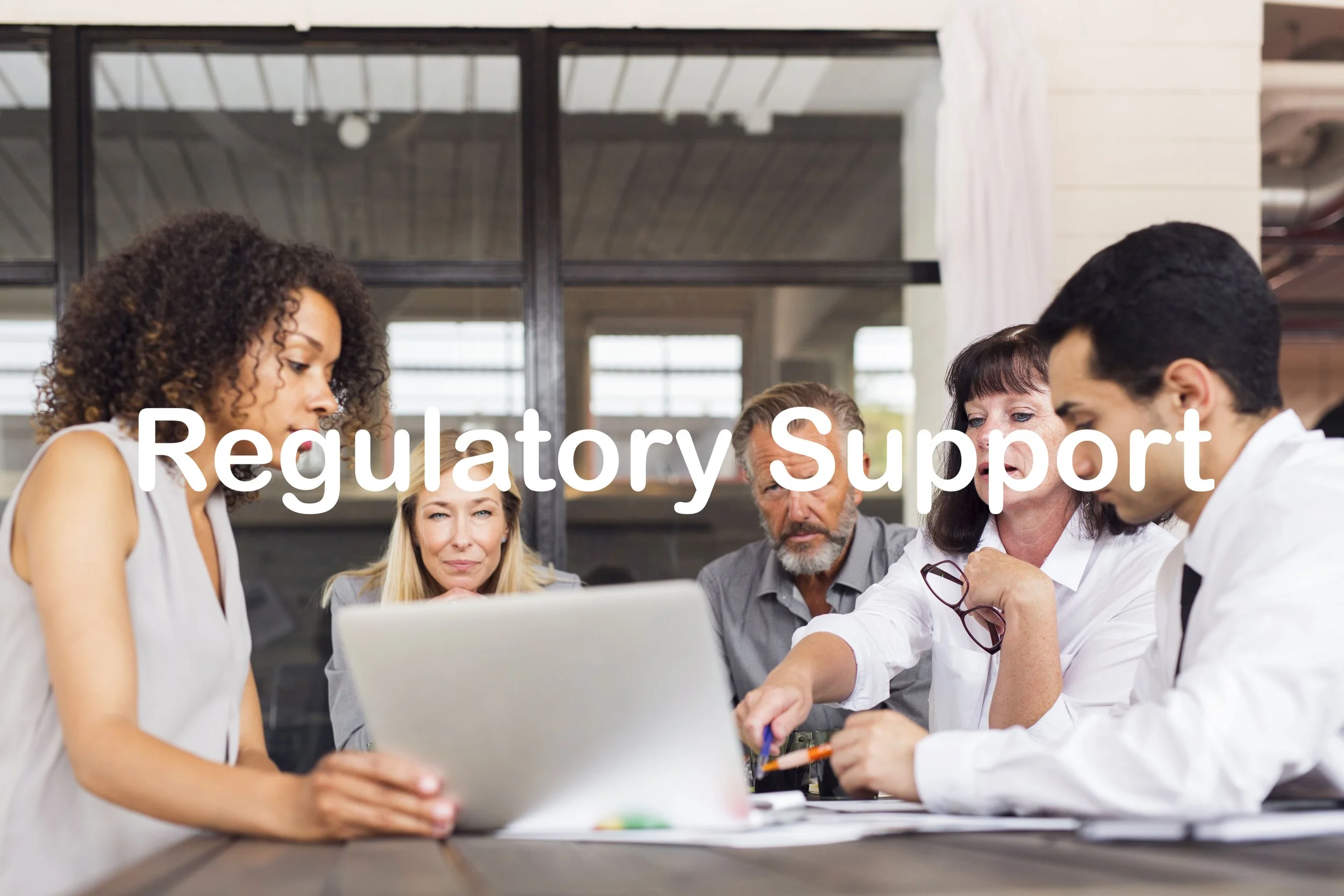 Our Solutions — Vireo Advisors, LLC