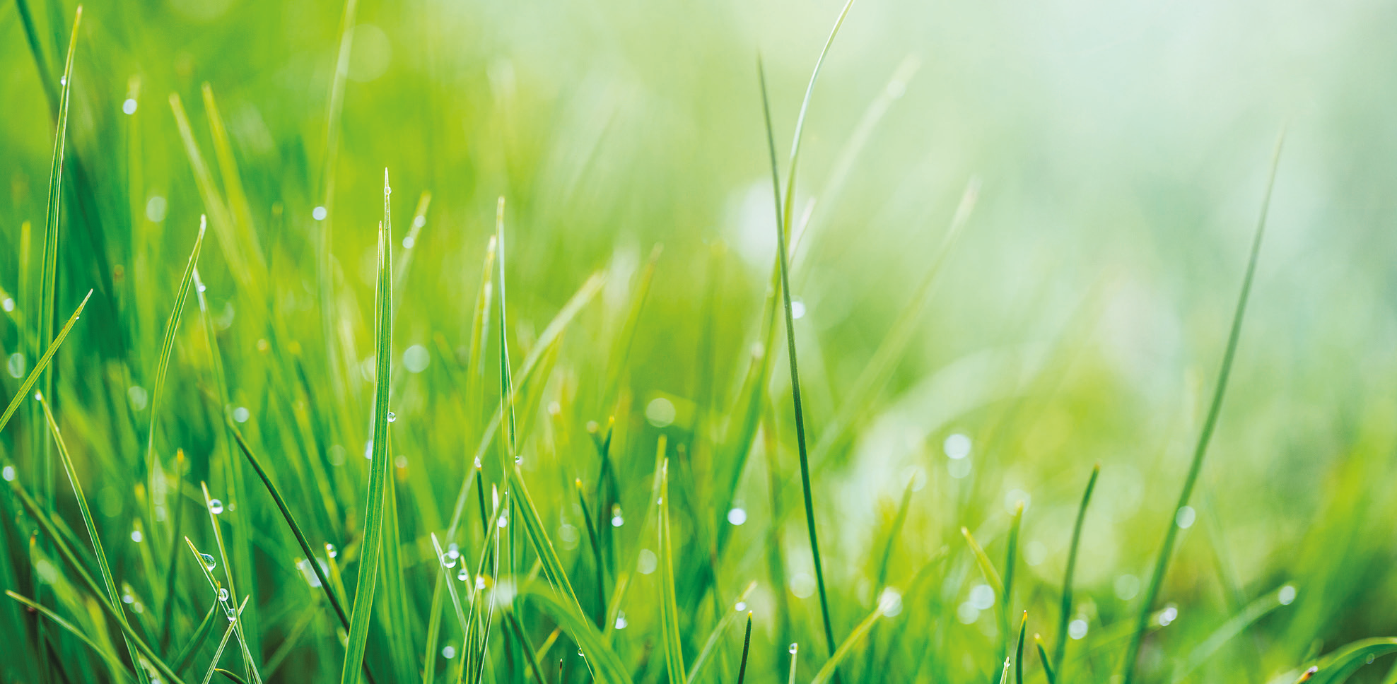 The BioConnect Project — BioConnect