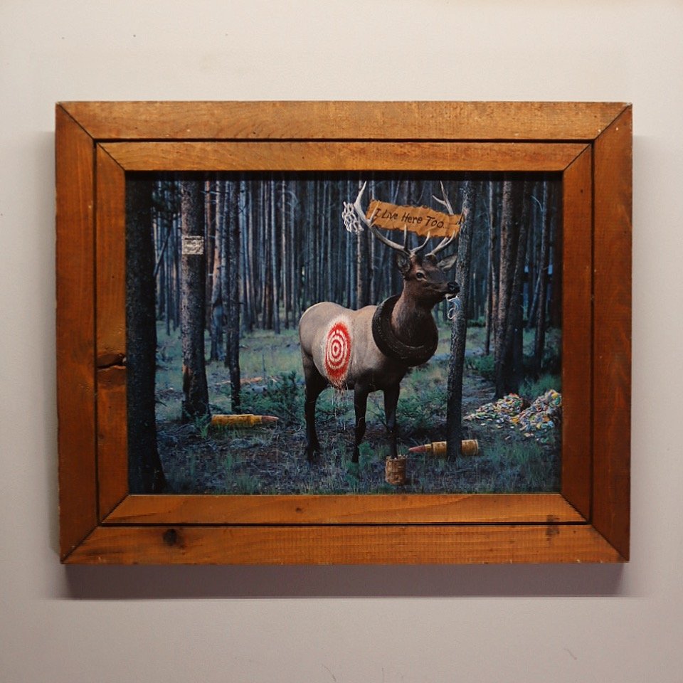 The Art of Paco - Art That Inspires