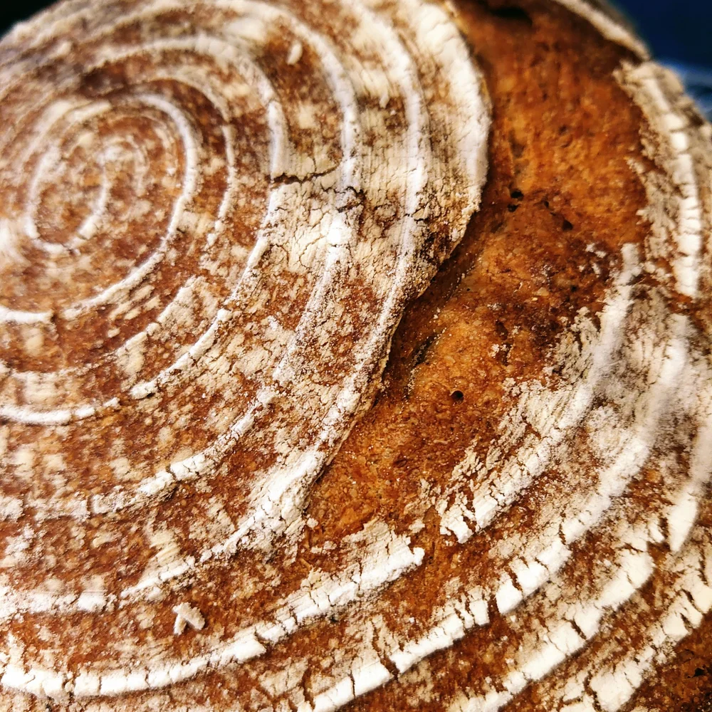 XOKO Bakehouse and Coffee Shop, Inverness, Highlands, Scotland.