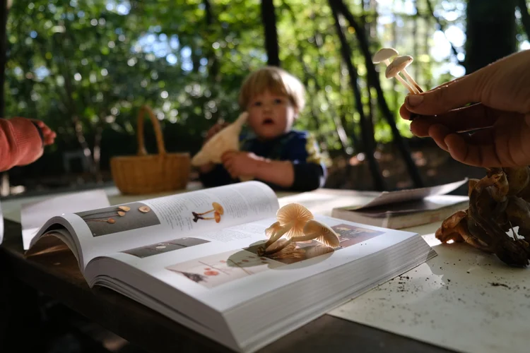 Naturally Learning