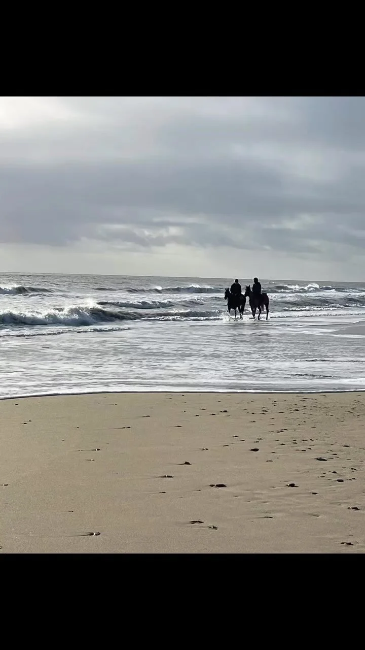 Pauline Kiernan Fine Art Textiles