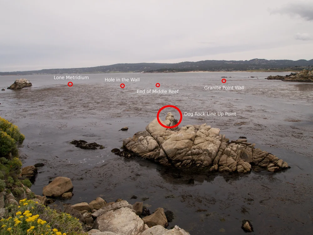 Point Lobos Trail Map — Bay Area Underwater Explorers