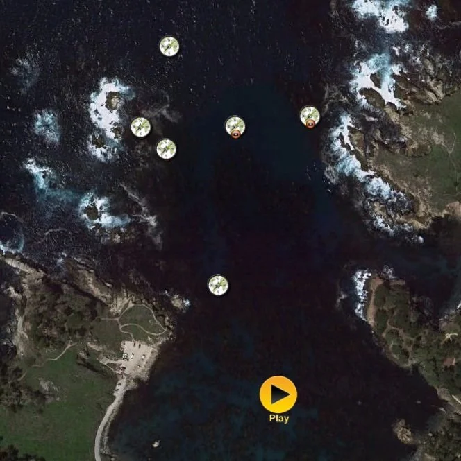 Projects — Bay Area Underwater Explorers