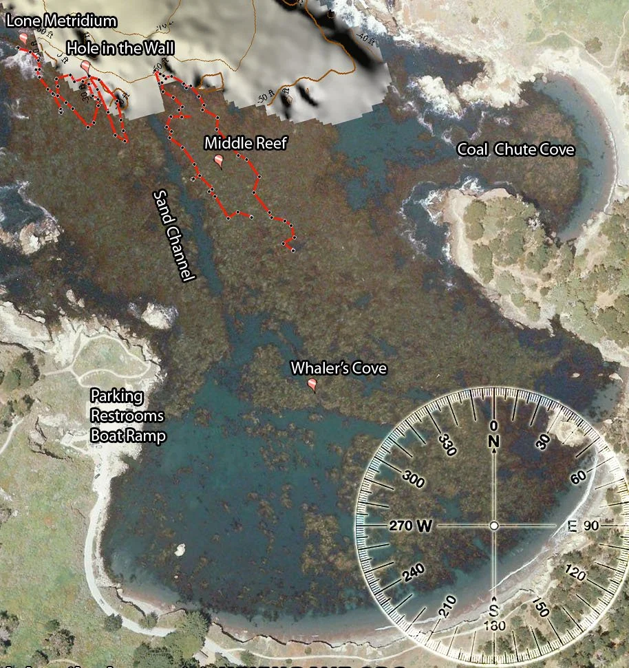 Point Lobos Trail Map — Bay Area Underwater Explorers