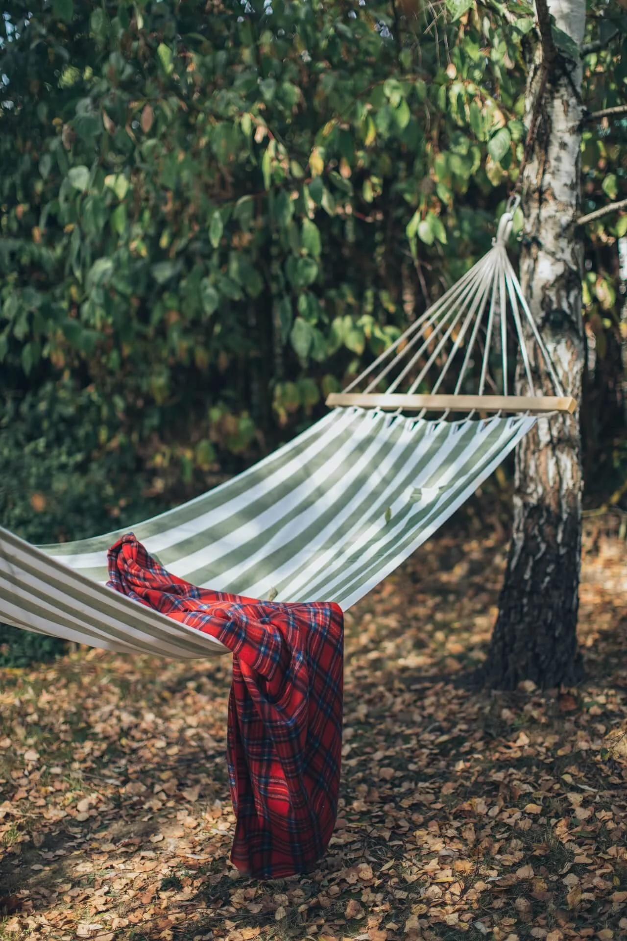 How to Reward Yourself Without Food — Thrive While Smiling