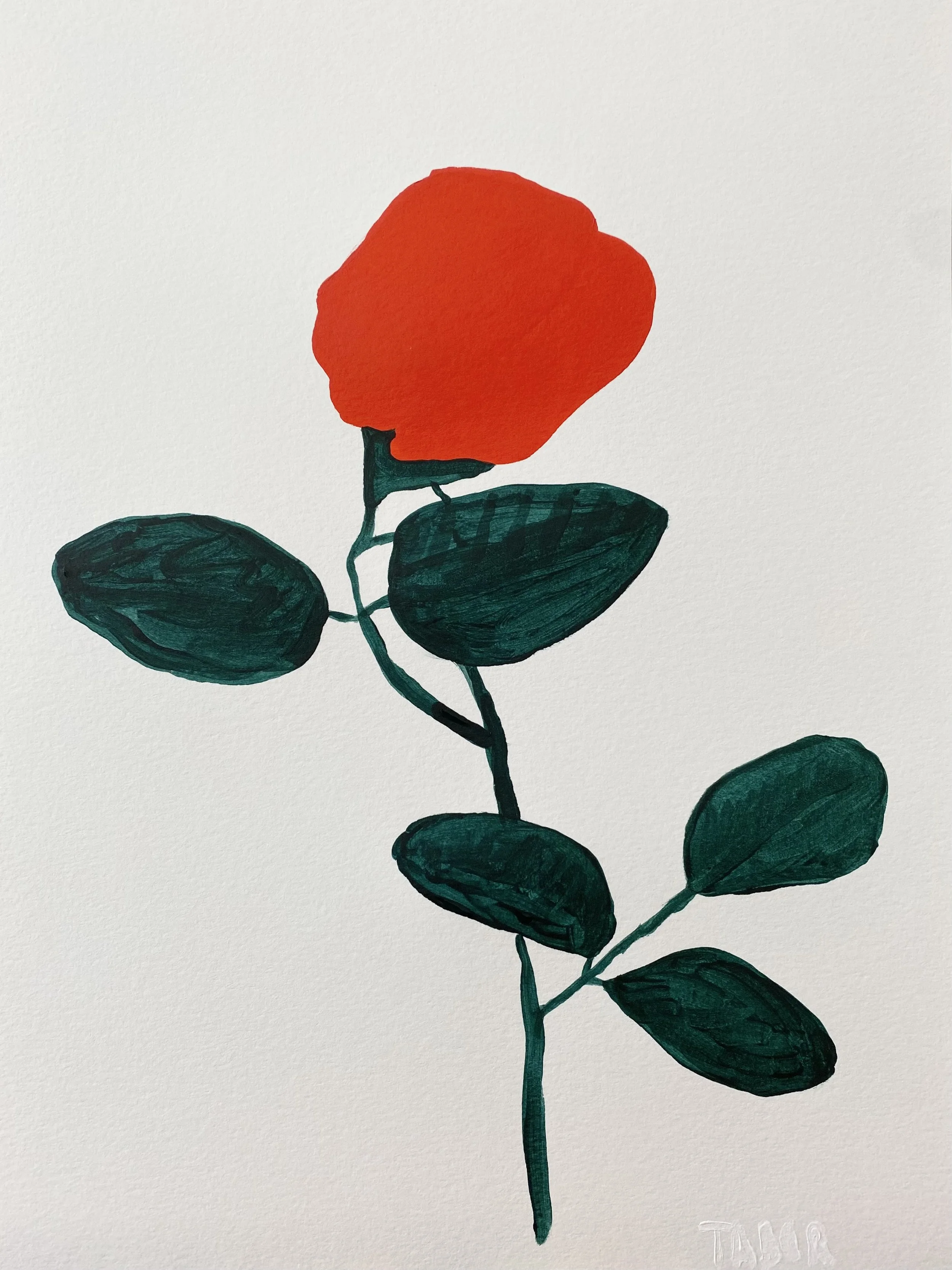 Shop Art By Shana Tabor — Shana Tabor