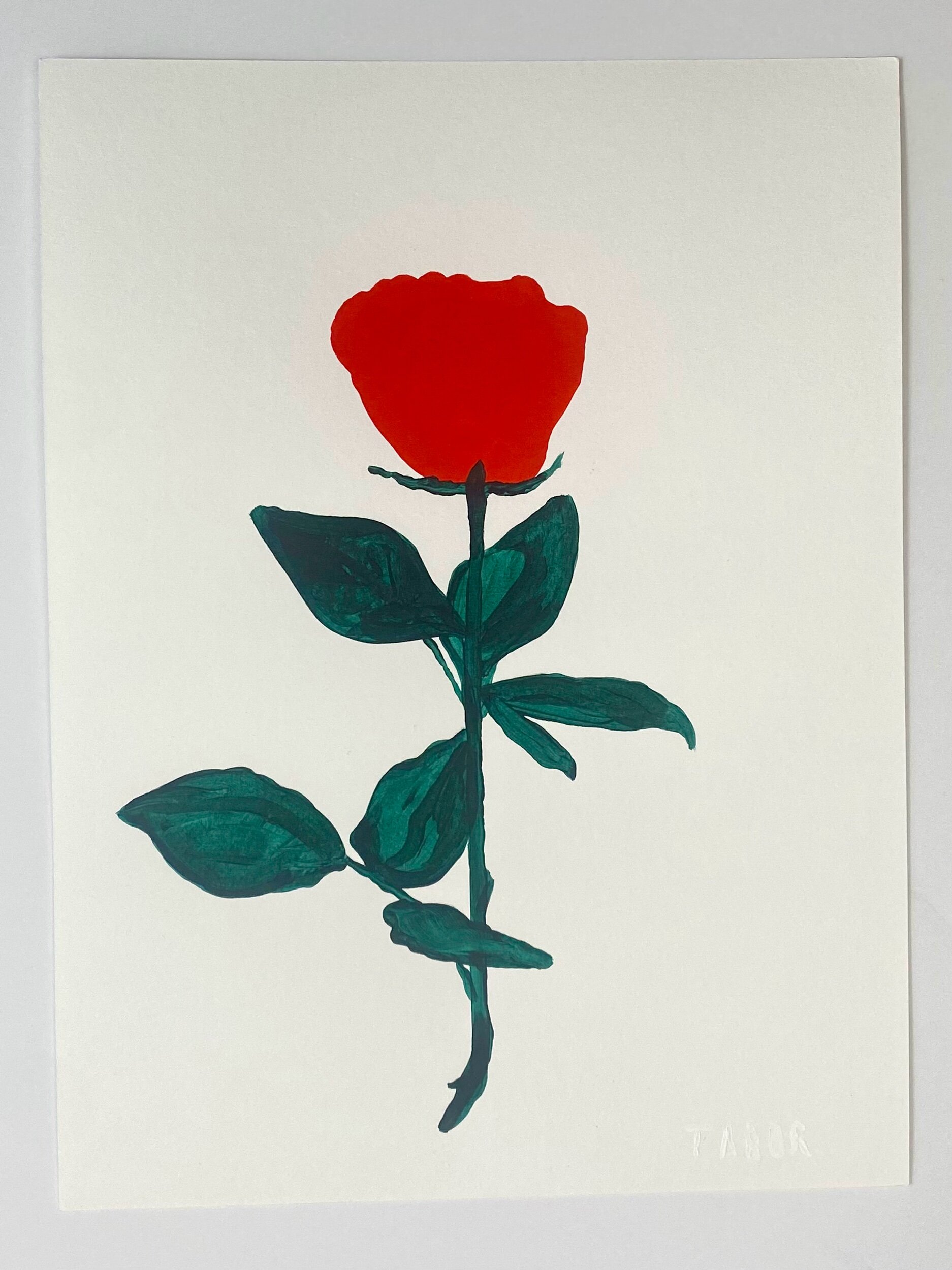 Shop Art By Shana Tabor — Shana Tabor
