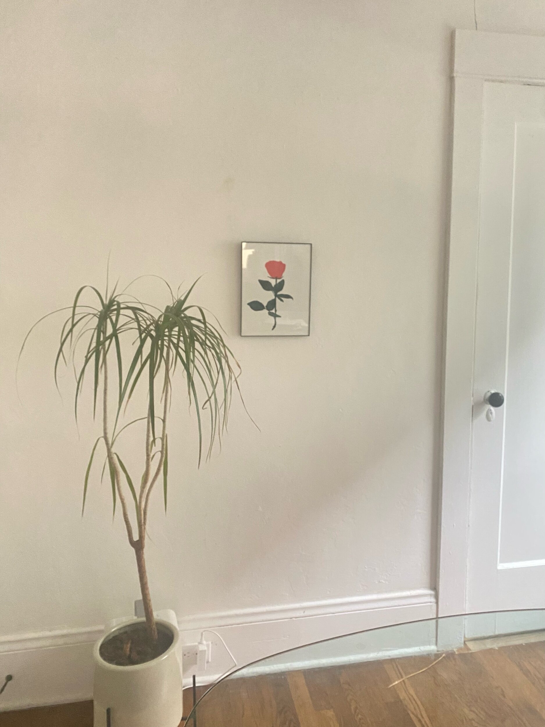 Shop Art By Shana Tabor — Shana Tabor