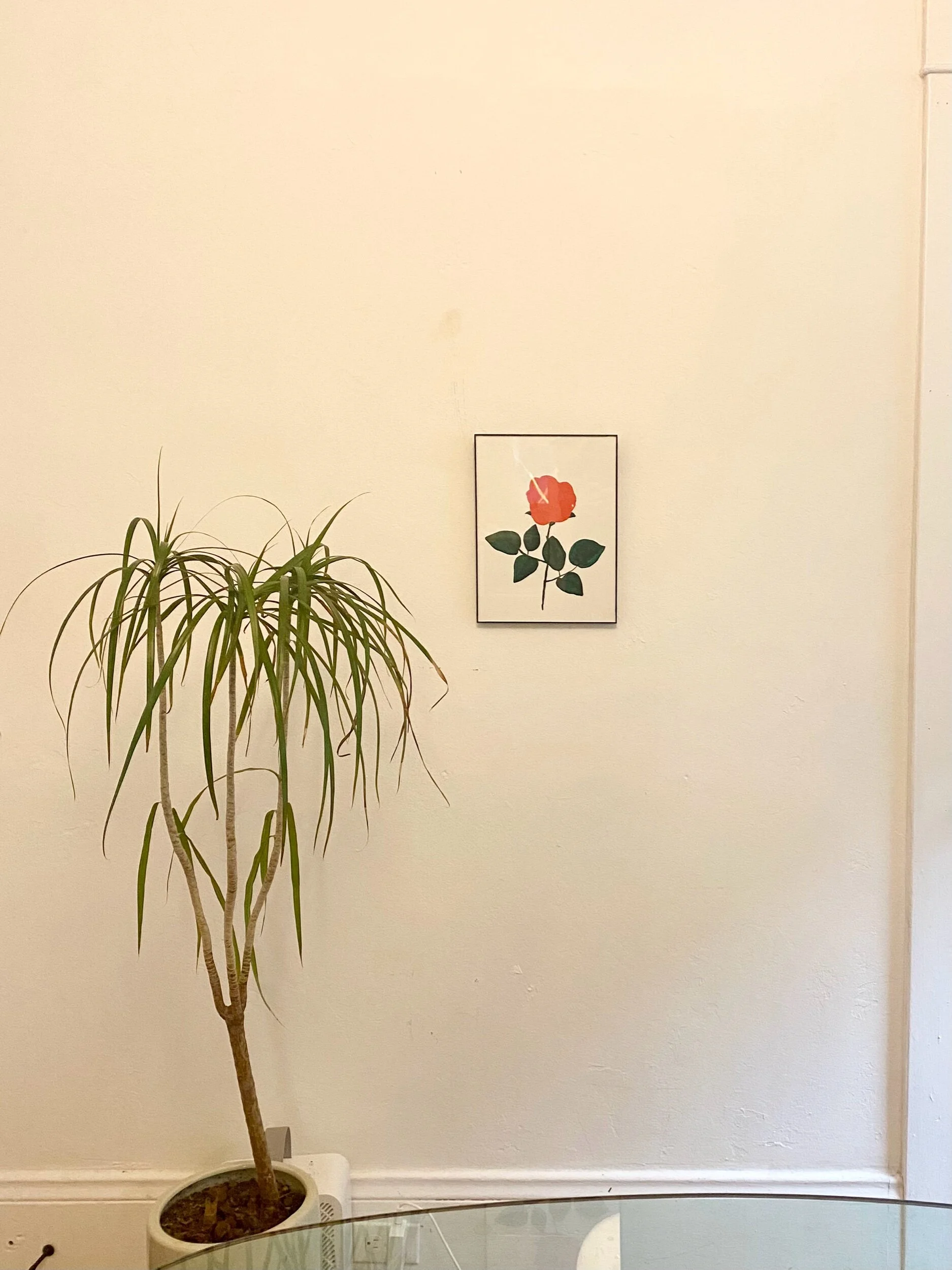 Shop Art By Shana Tabor — Shana Tabor