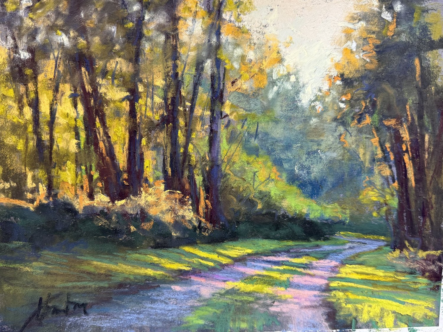 Landscape Collection — Amanda Houston