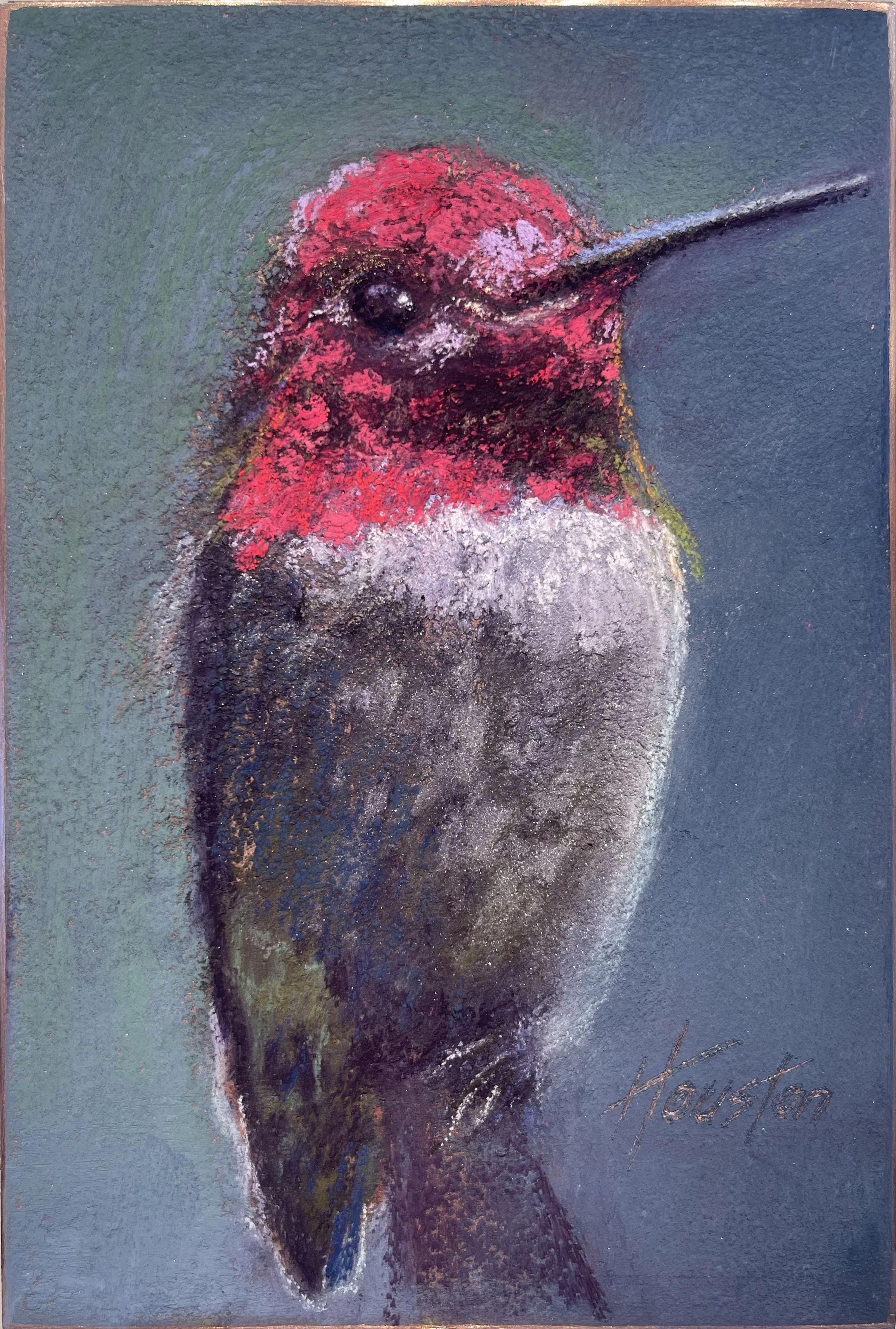 Bird Collection — Amanda Houston