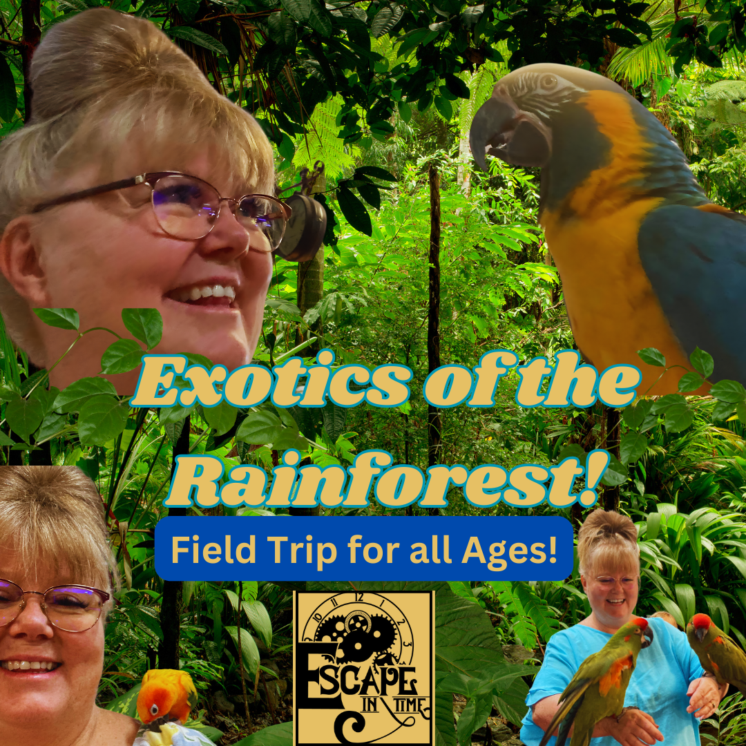 Exploring the Rainforest:"Exotics of the Rainforest" Field Trip ...