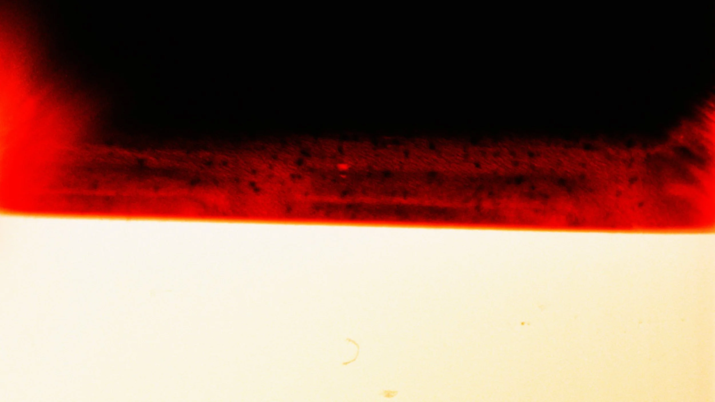 FILM BURNS — 45+ Real Kodak Light Leaks & Transitions in 4K ProRes 422
