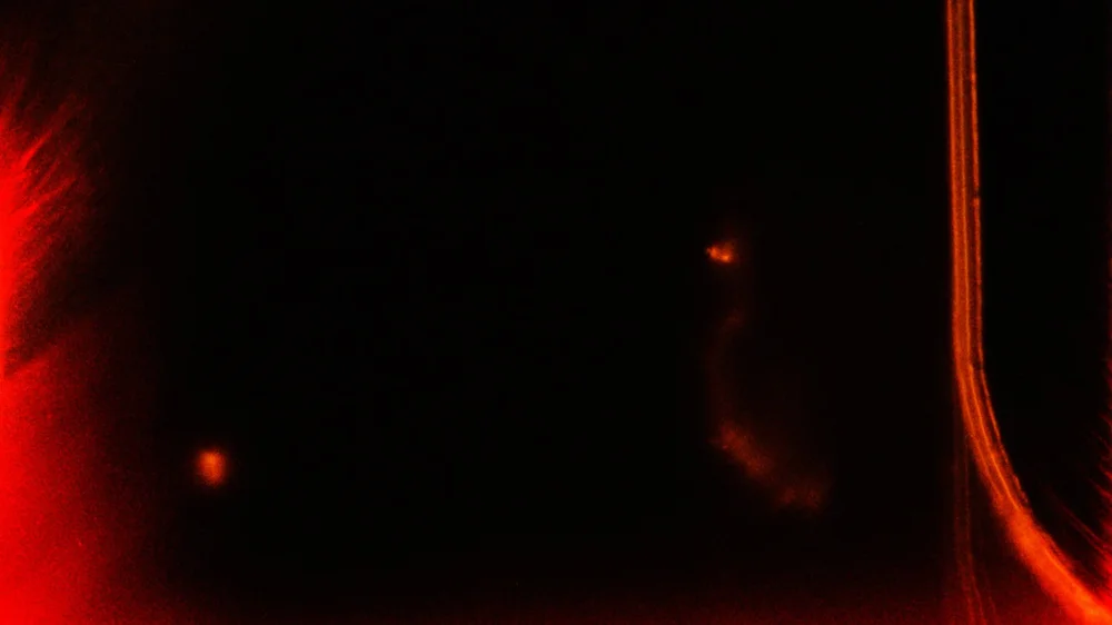 FILM BURNS — 45+ Real Kodak Light Leaks & Transitions in 4K ProRes 422