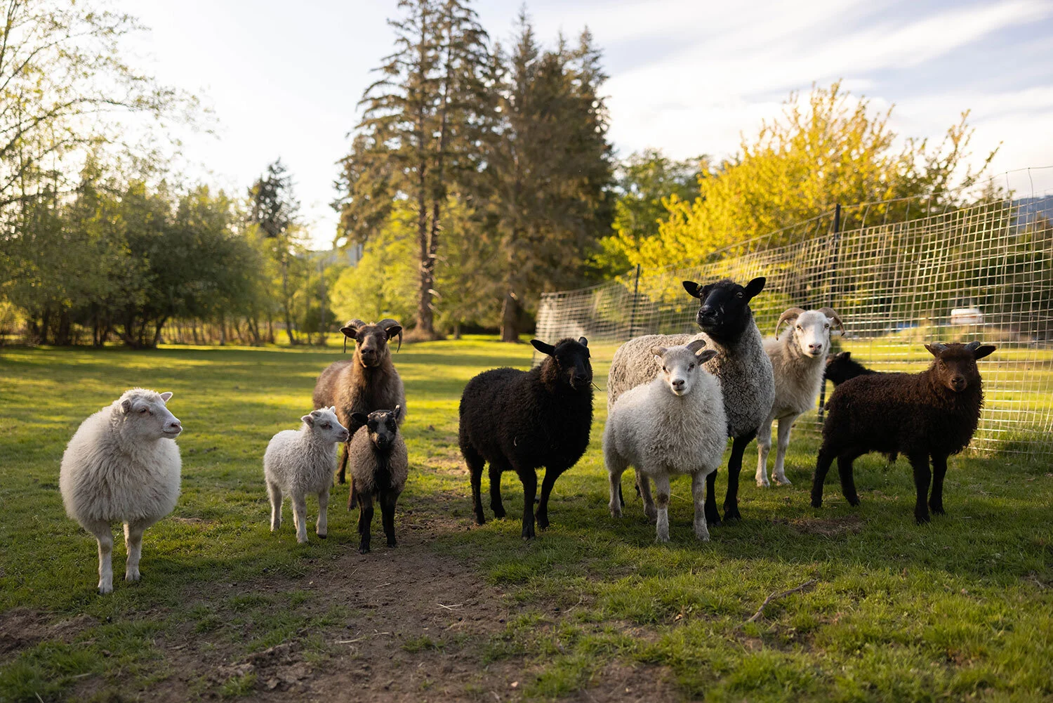 ABOUT THE FARM — Hough Heritage Farm