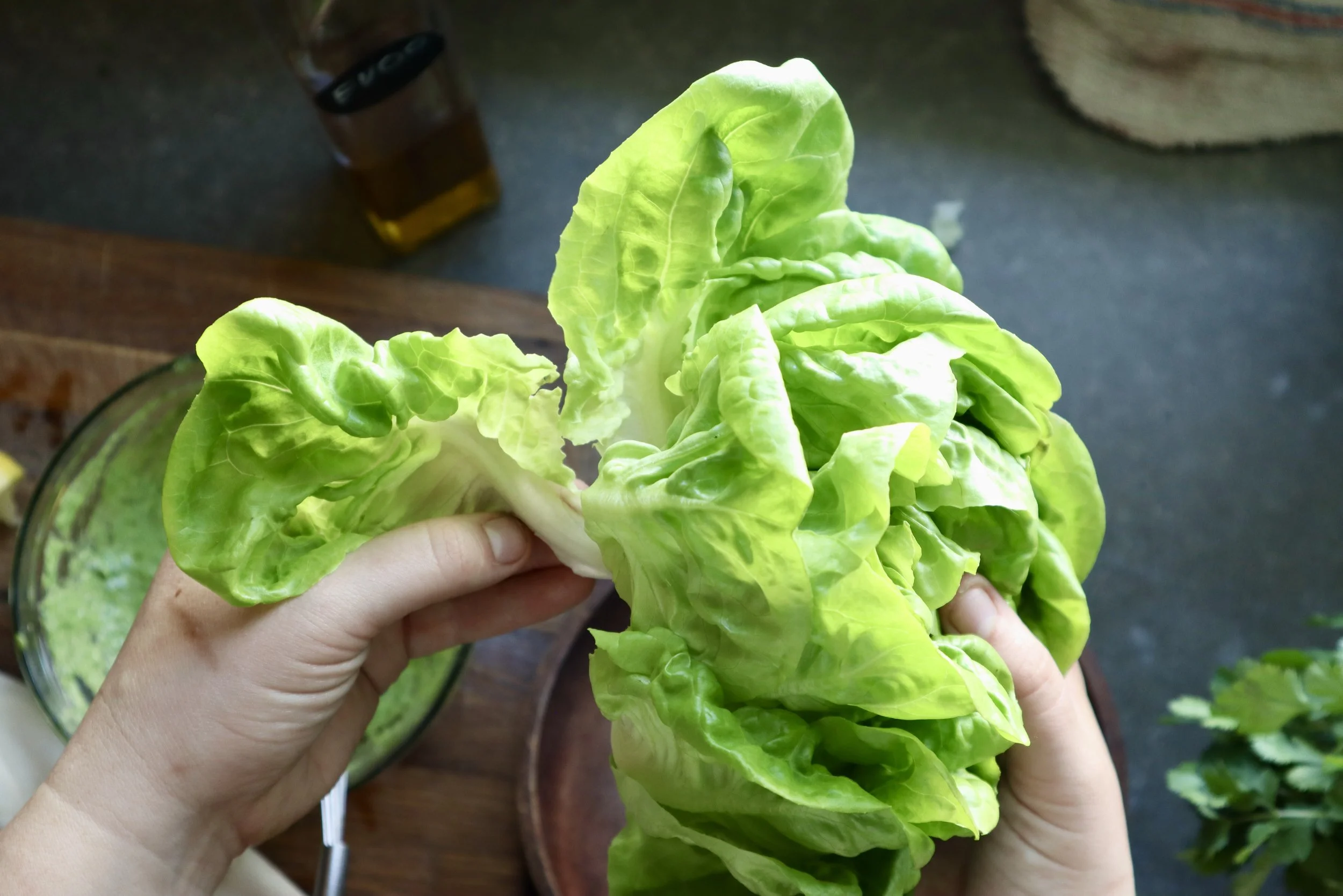 A Lettuce by Any Other Name — Holly Hill