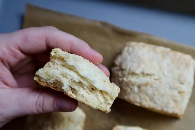 Midway Bakery Biscuit Tips — Holly Hill