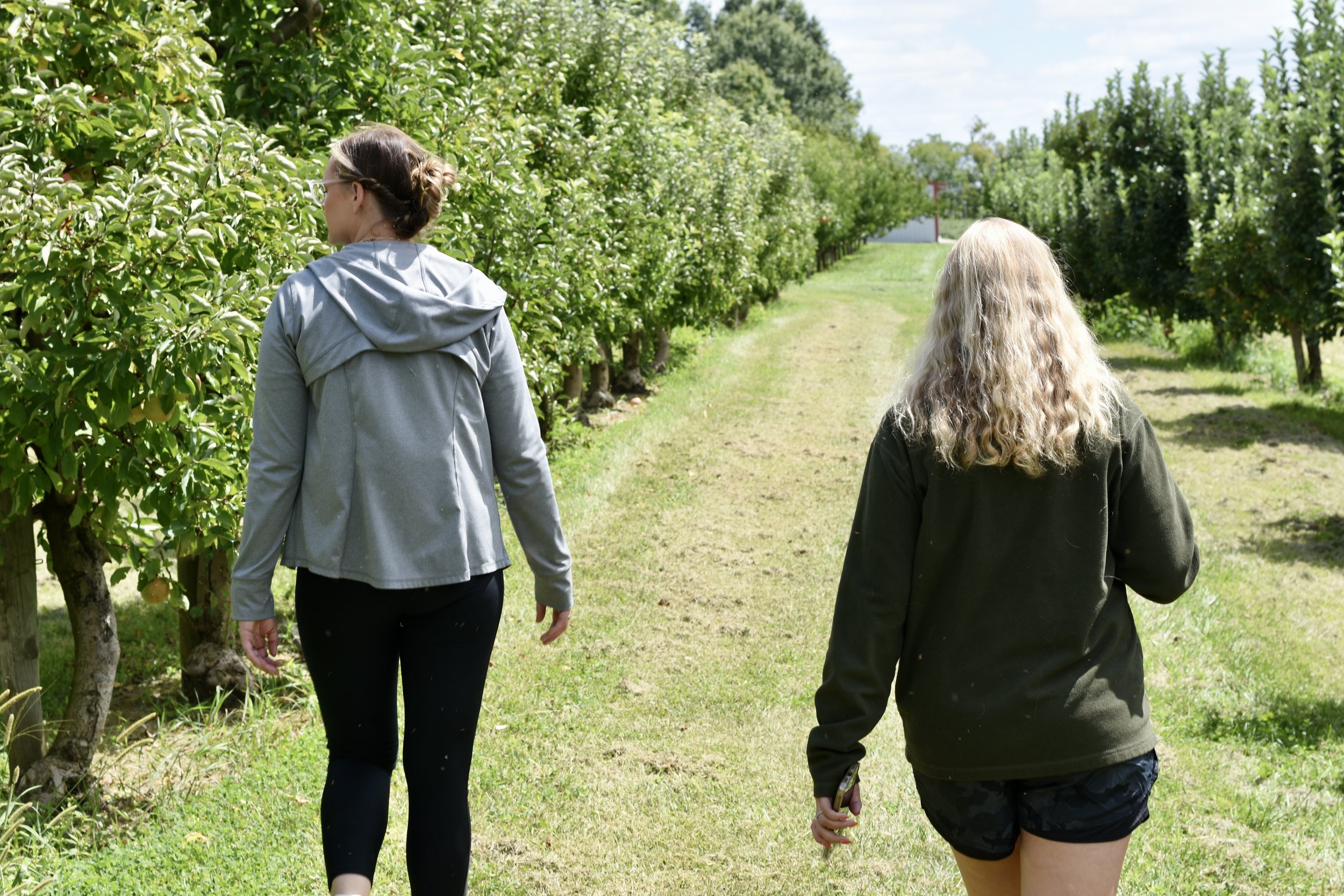 Plotting a New Path — Holly Hill