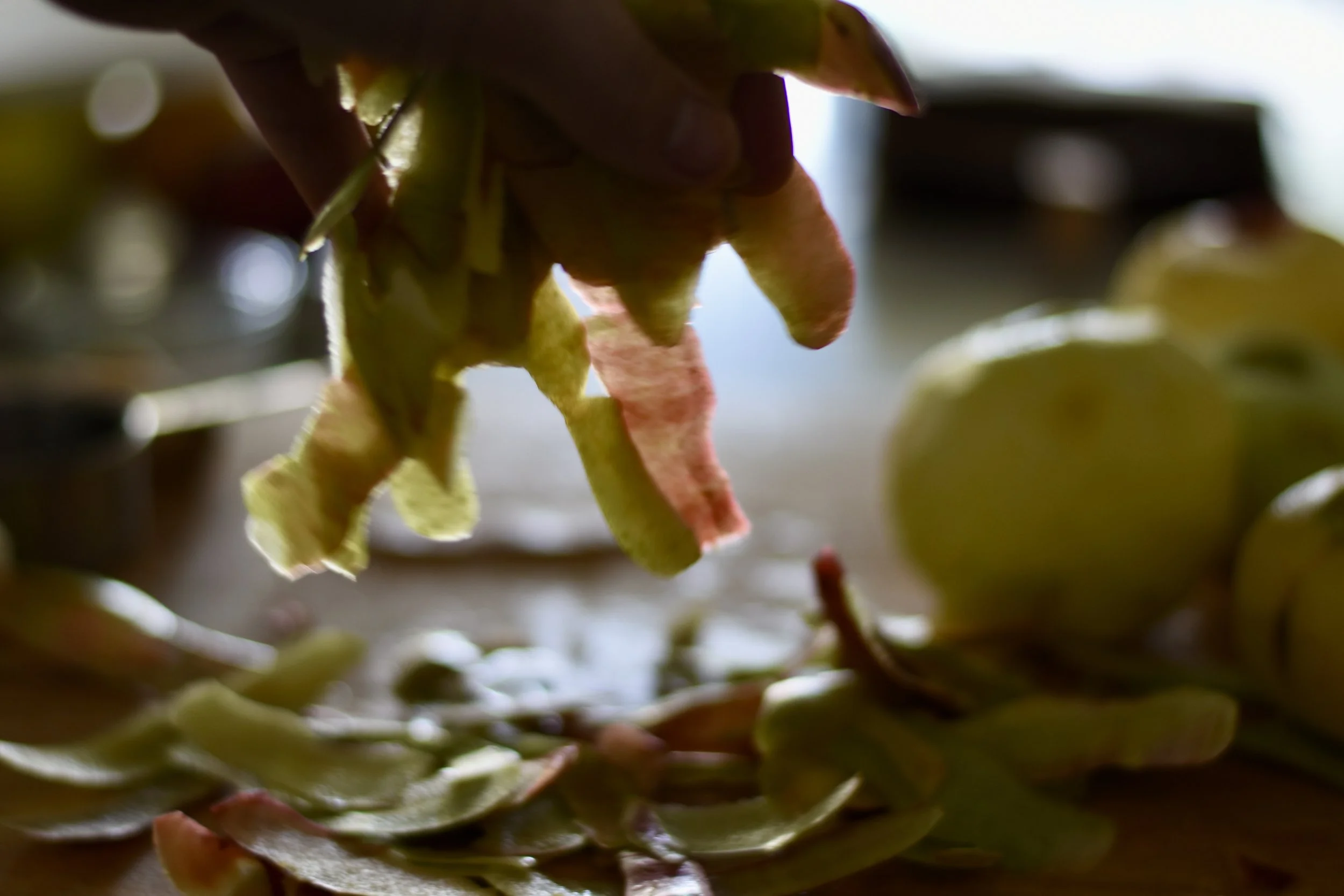 Dried Apple Peels — Holly Hill