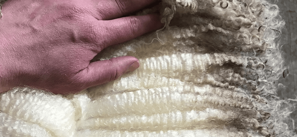 What Is Strong Wool? | Properties & Uses Explained — Wisewool