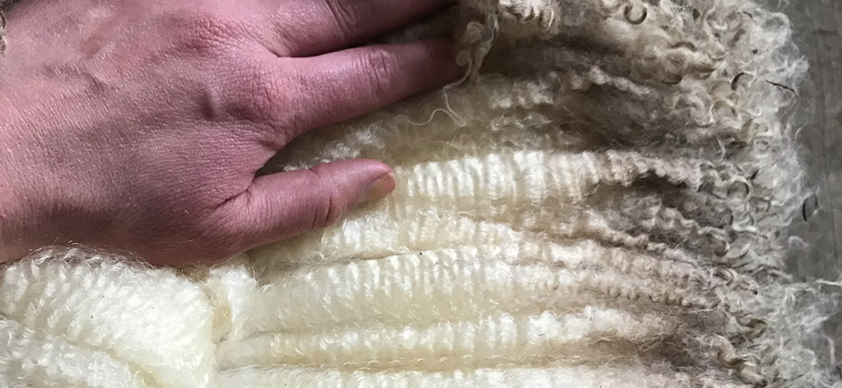 What Is Strong Wool? | Properties & Uses Explained — Wisewool