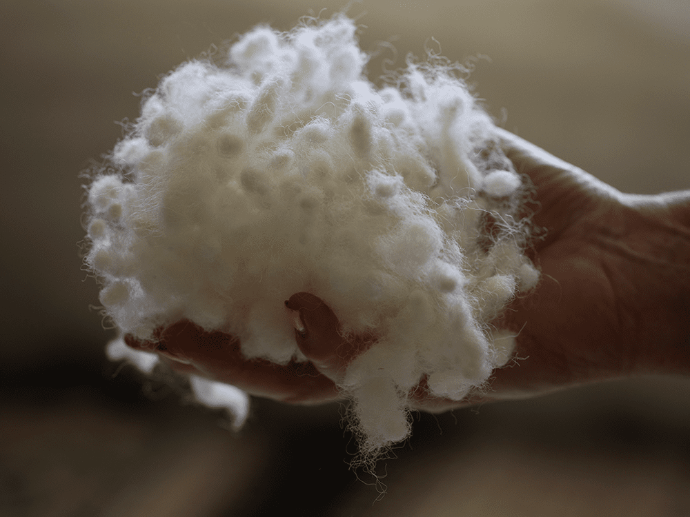 Wisewool™ Wool Glossary: Essential Wool Terms Explained — Wisewool