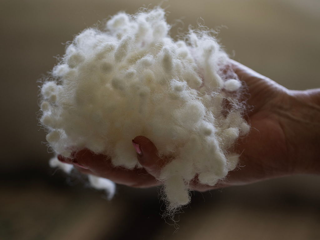 Wisewool™ Wool Glossary: Essential Wool Terms Explained — Wisewool