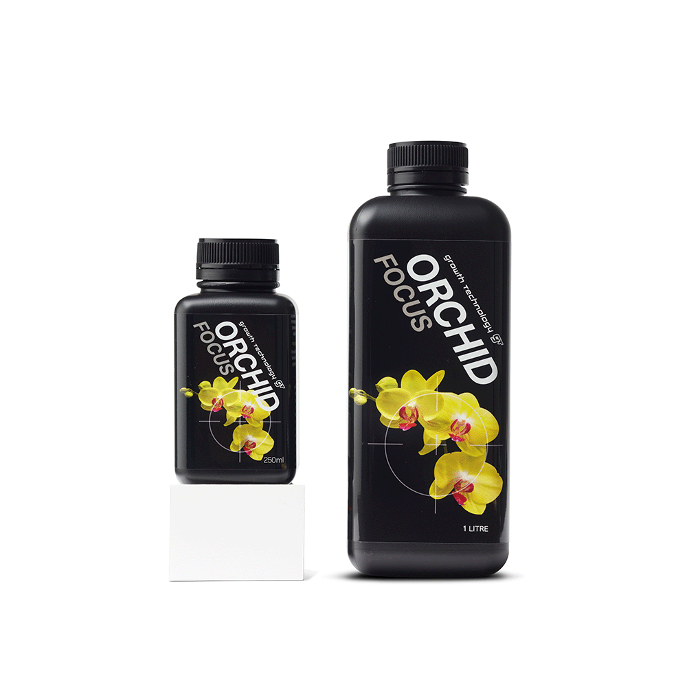Growth Technology GT Foliage Focus Plant Nutrient Fertilizer for Aroid ...