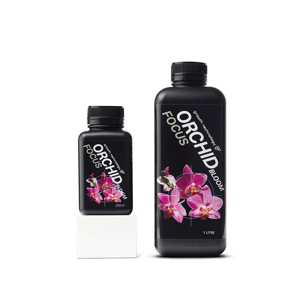 Growth Technology GT Foliage Focus Plant Nutrient Fertilizer for Aroid ...