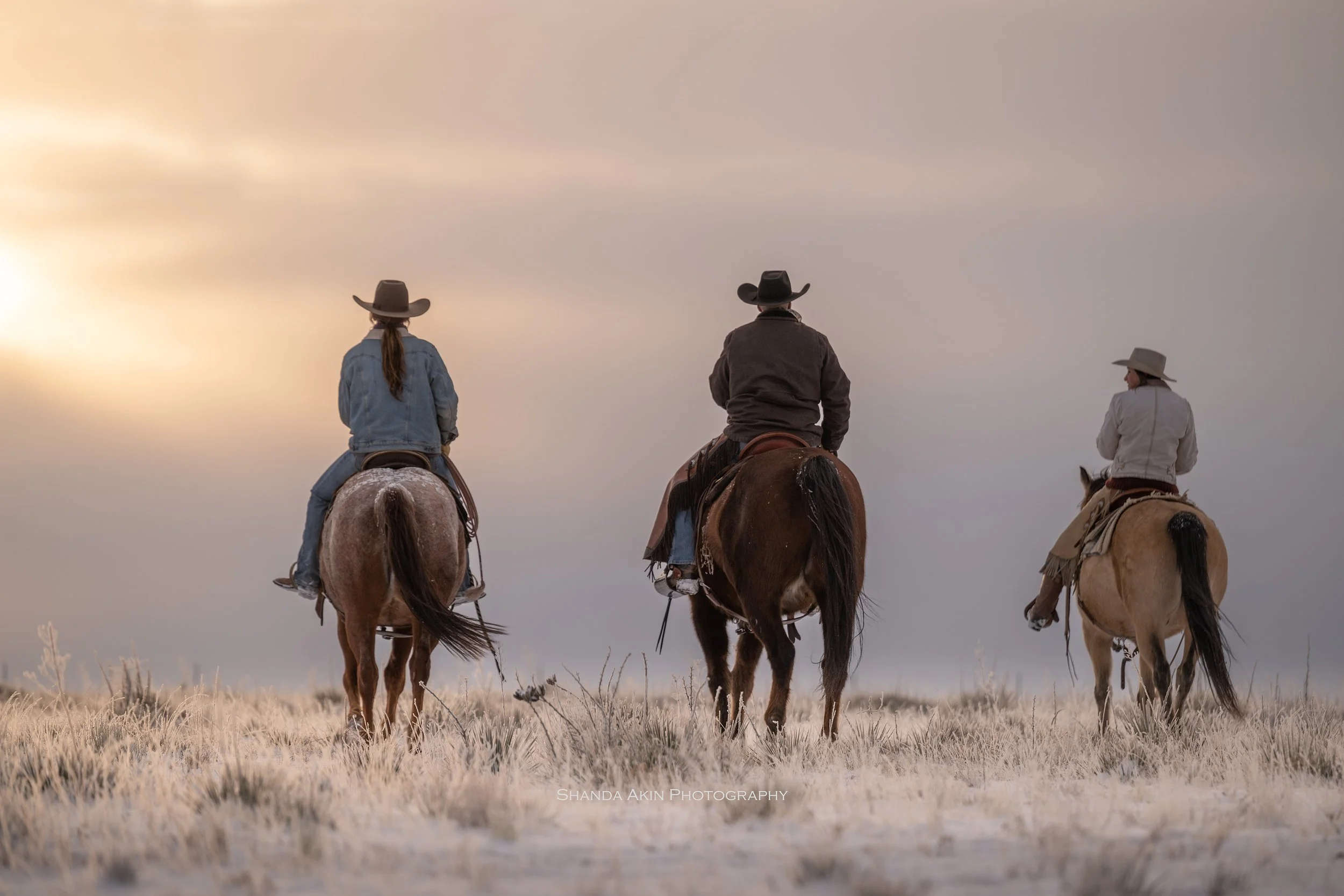 Portfolio of Winter Ranch Photographs in Colorado - Shanda Akin Photography