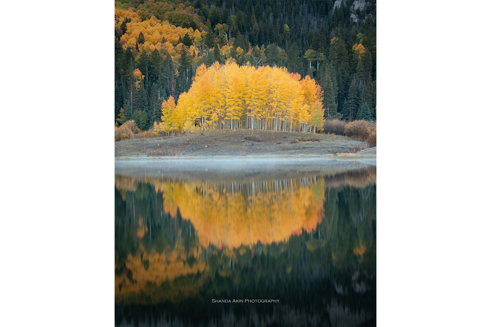 Colorado Gold Fine Art Photograph — Shanda Akin Photography